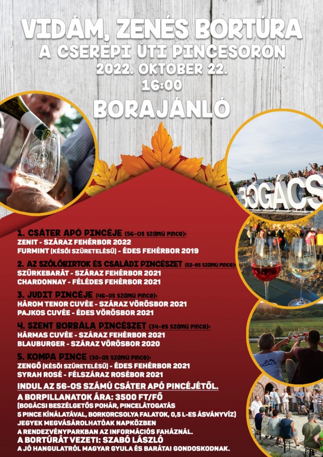 Bortúra Bogács - Programturizmus