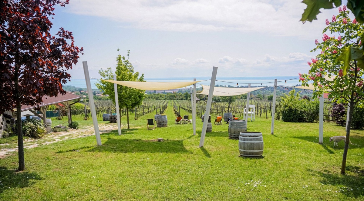 Homola Borterasz programok 2025 Paloznak - Programturizmus