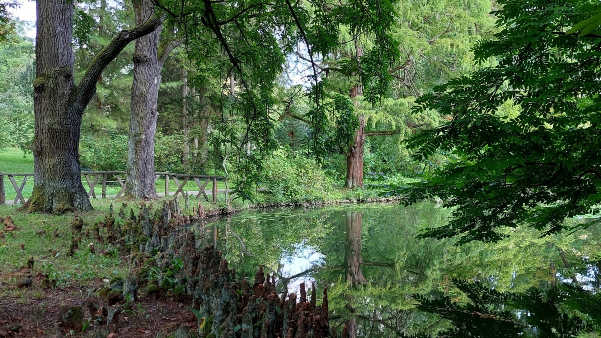 Kulturális Örökség Napjai Vácrátót 2024 Nemzeti Botanikus Kert ...