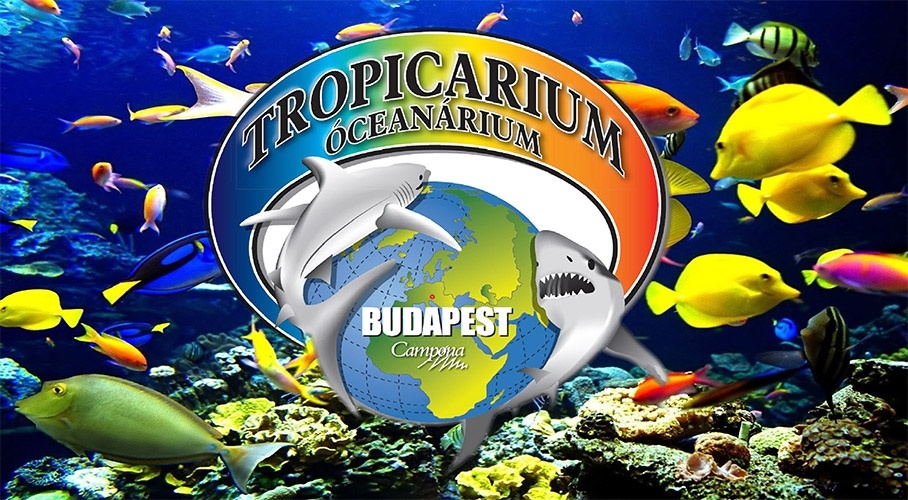 Tropicarium programok 2020 Budapest - Programturizmus