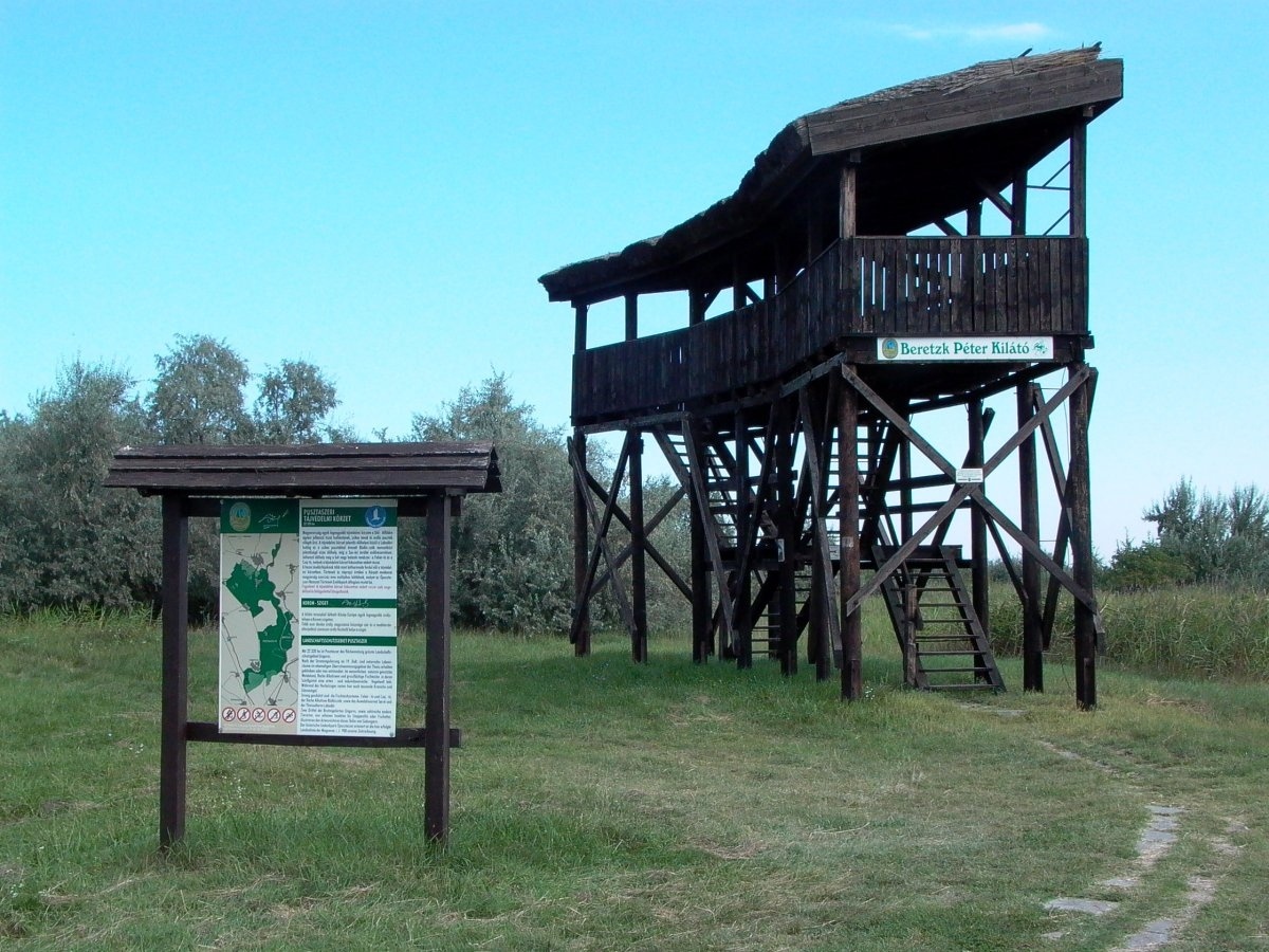 Szegedi Fehér-tó bemutatása, séta a Sirály tanösvényen - Programturizmus
