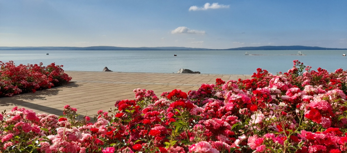 Balatonakali programok 2025. Események, rendezvények - Programturizmus