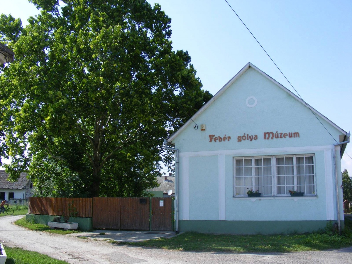 Fehér Gólya Múzeum programok, látogatás a kölkedi Fehér Gólya Múzeumban ...