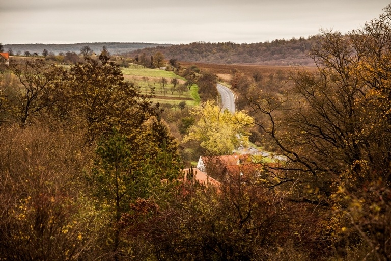 Bakancsos túrák - Programturizmus