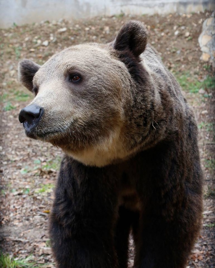 Pécs Zoo Pécsi Állatkert és Akvárium Terrárium - Programturizmus