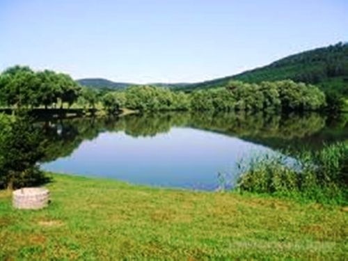 Bodony - Programturizmus