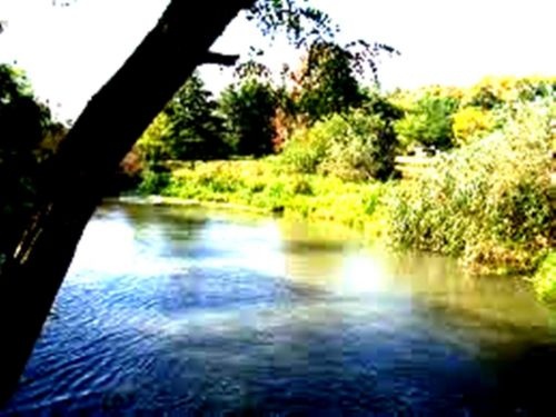 Gyóró - Programturizmus