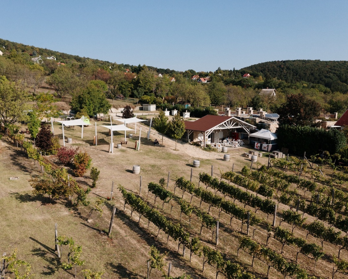 Homola Borterasz Paloznak - Programturizmus