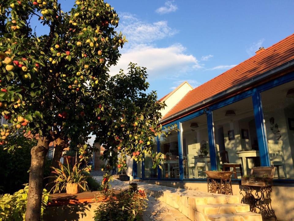 Csendülő Noszvaj - Programturizmus