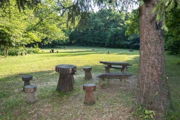 Gödöllői Erdészeti Arborétum - Programturizmus