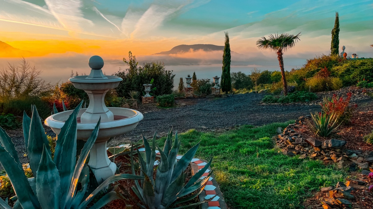 Balatoni Mediterrán Botanikus Kert Kisapáti - Programturizmus