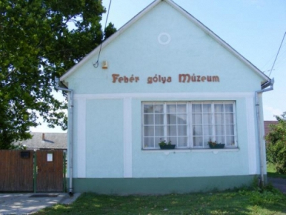 Fehér Gólya Múzeum Kölked - Programturizmus