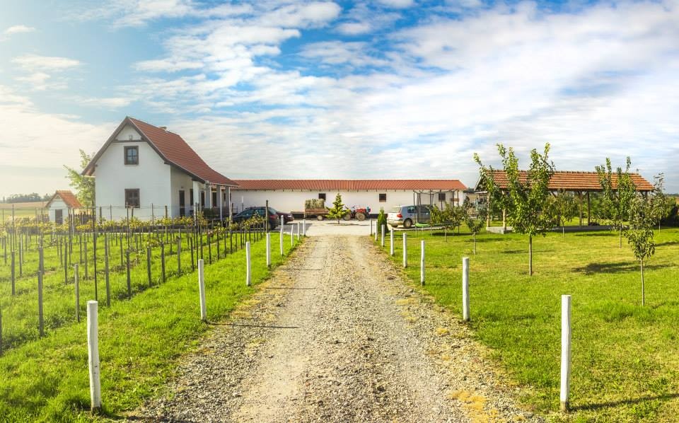 Mega Farm Lovarda Pécel - Programturizmus