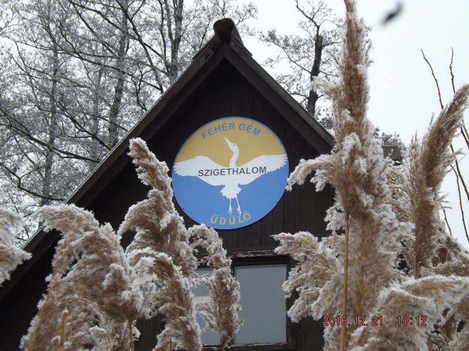 Fehér Gém Üdülő Szigethalom - Programturizmus