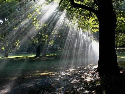 Pap-Sziget Camping. Bungalow-Park és Ifjúsági Szállás - Programturizmus