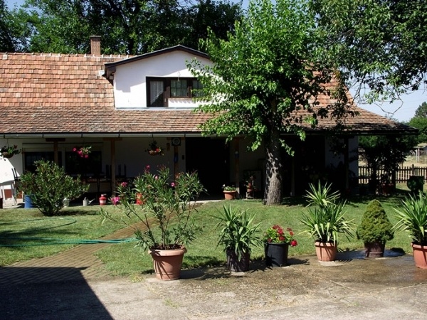 Forgó Lovastanya Pirtó - Programturizmus