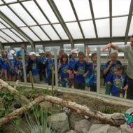 Állatkerti tábor Budapesten, Zoo tábor 6-12 éveseknek a Fővárosi Állat ...